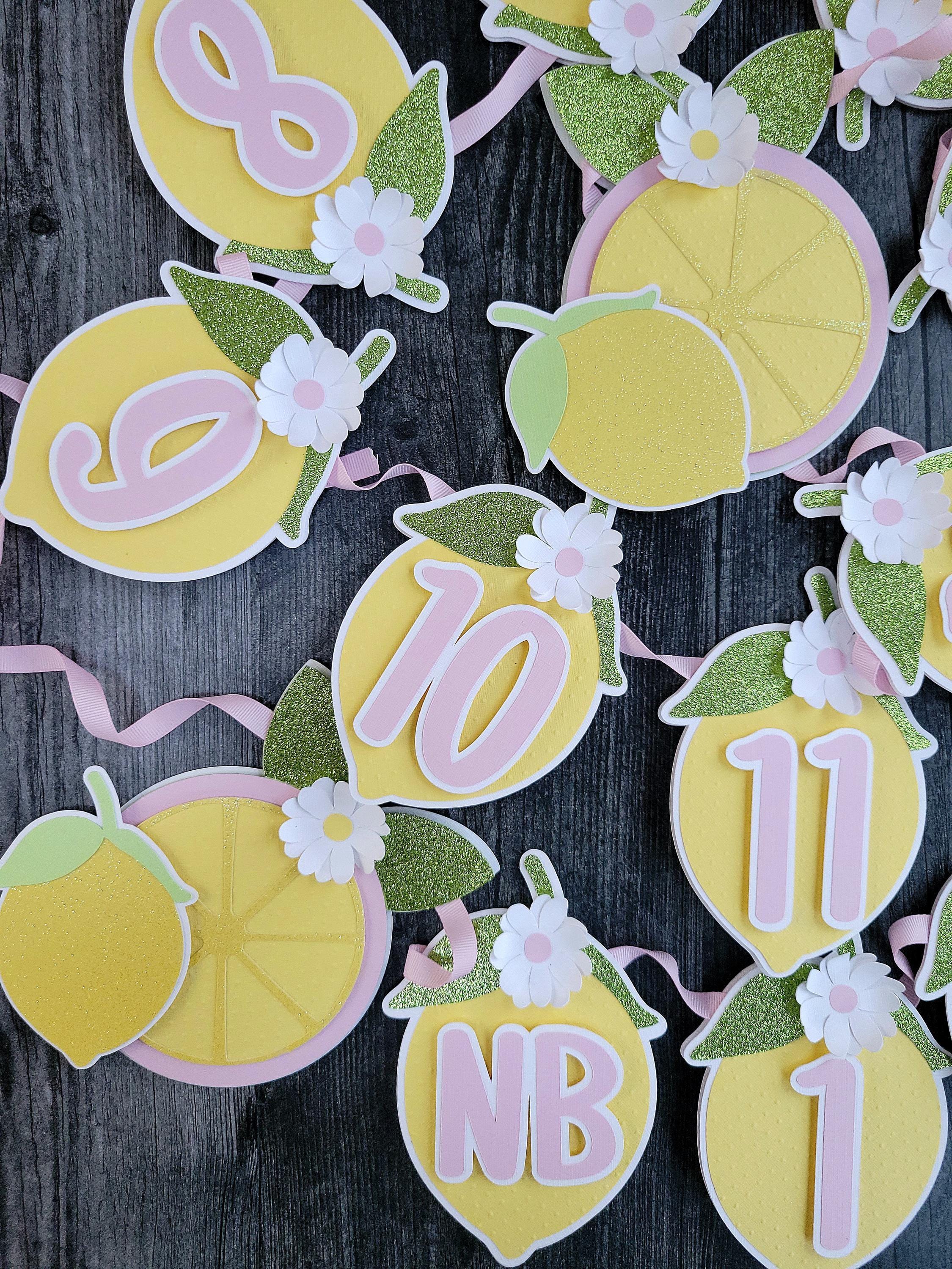 Lemon Photo Banner - Milestone Banner - Etsy