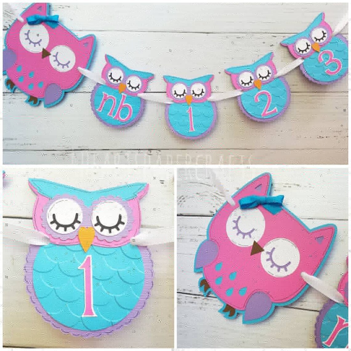 Owl Photo Banner | Etsy