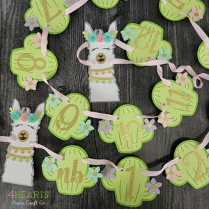 Llama Photo Banner - Etsy