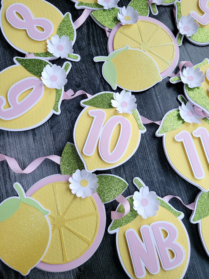 Lemon Photo Banner - Milestone Banner - Etsy