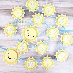 Sunshine Photo Banner | Etsy