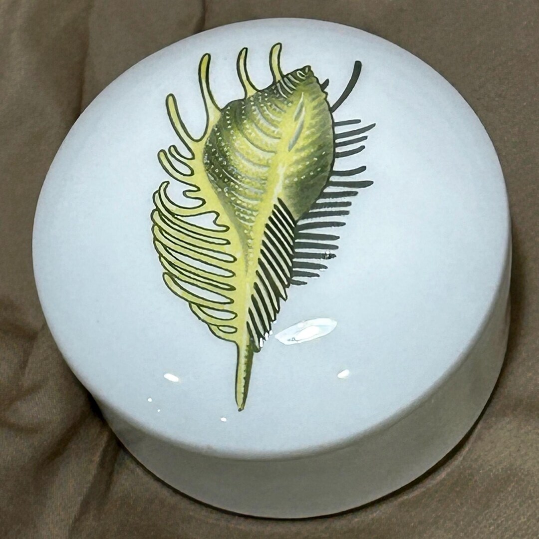 Vintage Seashell Trinket Box - Etsy
