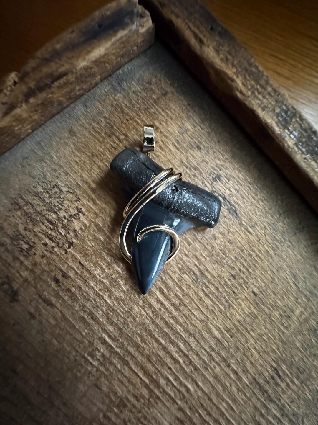 Fossilized Shark Tooth in 14k Gold Pendant - Etsy UK