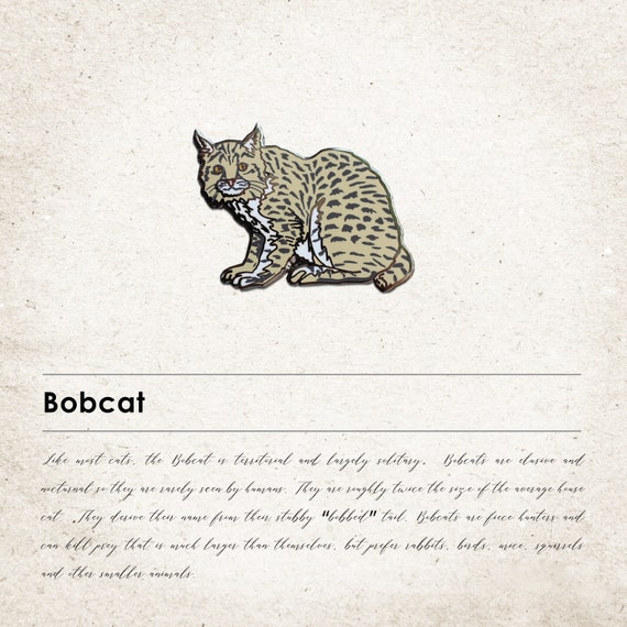 Bobcat Pin - Etsy
