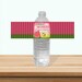 Watermelon Summer Theme Birthday Party Package Deal Digital Files - Etsy
