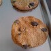 FAKE Oatmeal Raisin Cookies on Cookie Sheet (6 Piece) - Primitive Bowl ...
