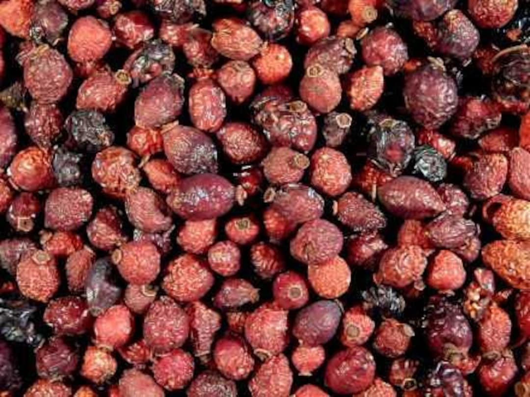 Whole Rose Hips (1-4 Pounds) - Great for Potpourri, Holiday Crafts ...