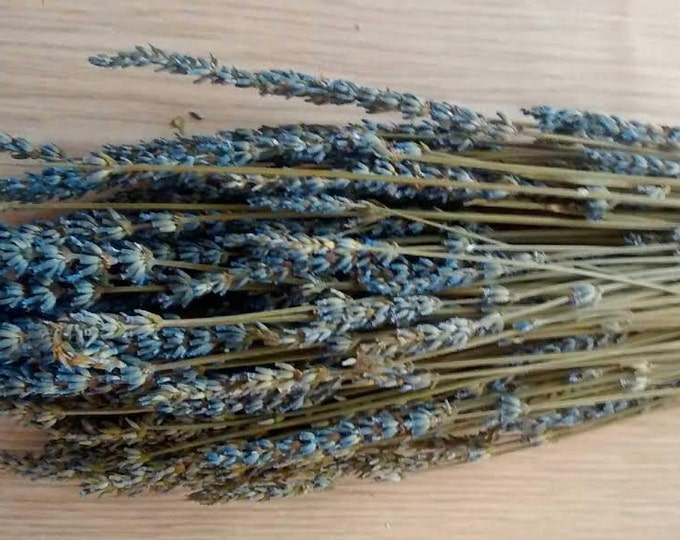 Dried French Lavender (2 Bunches) 18"-22" Long Stem French Lavender ...