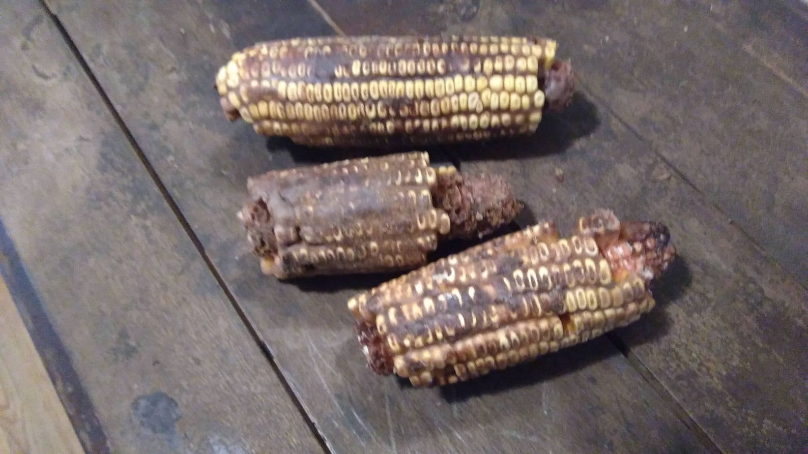 Primitive Grungy Corn on the Cob Wax and Spice Dipped - Farmhouse ...