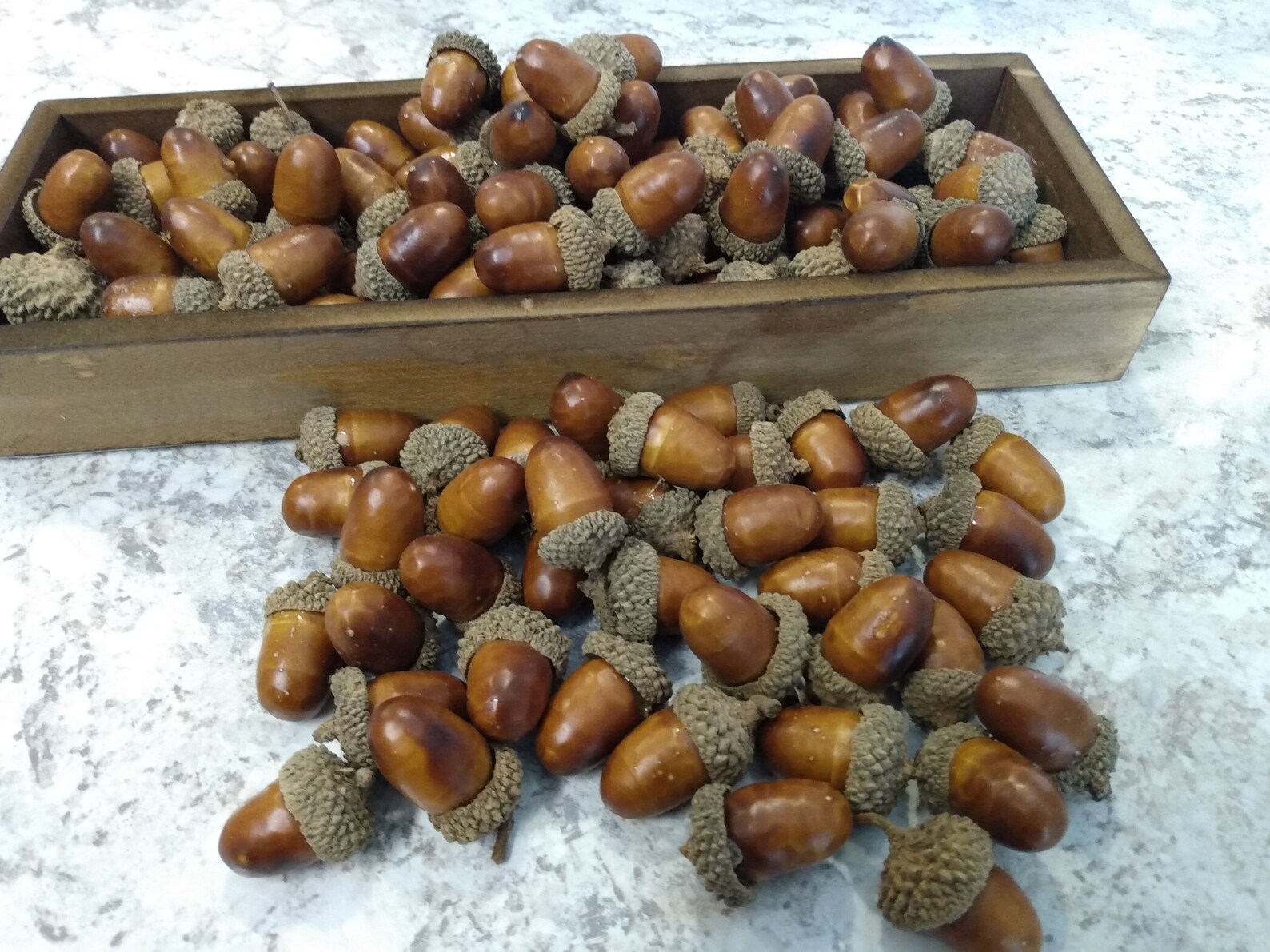 Fake Natural Very Realistic Looking Acorns With Real Caps - Etsy