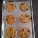 FAKE Oatmeal Raisin Cookies on Cookie Sheet (6 Piece) - Primitive Bowl ...