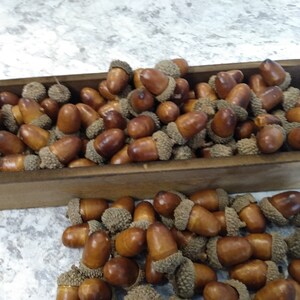 Fake Natural Very Realistic Looking Acorns With Real Caps - Great for ...