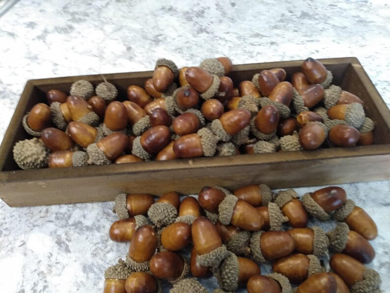 Fake Natural Very Realistic Looking Acorns With Real Caps - Etsy