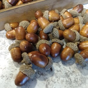Fake Natural Very Realistic Looking Acorns With Real Caps - Great for ...