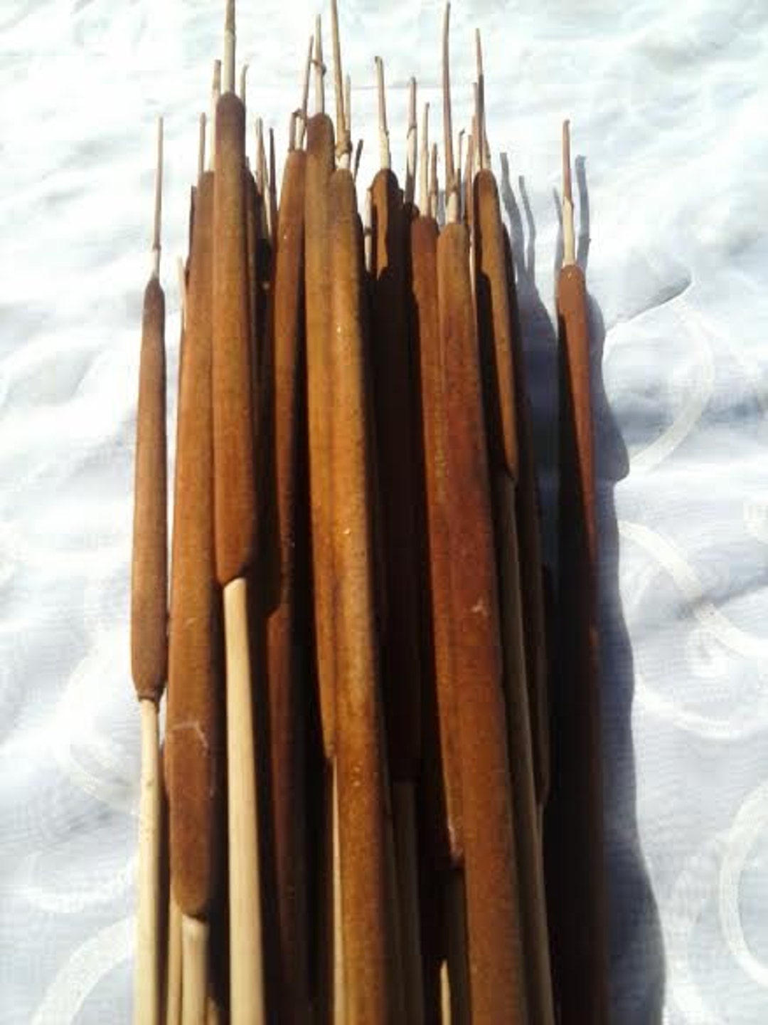 50-100 Cattails Stems - Primitive Country Home Decorations - Etsy