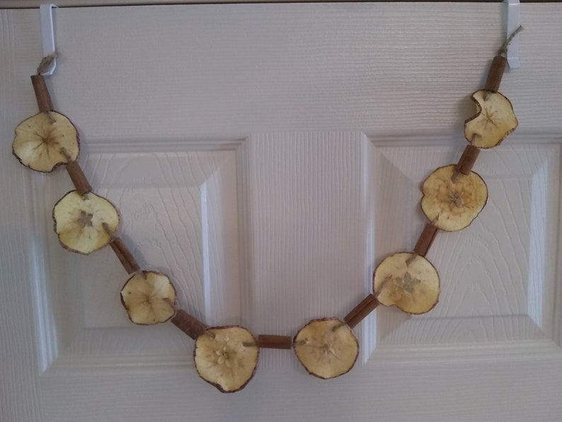 Dried Apple Slice and Cinnamon Stick Garland 4' - Primitive, Farmhouse ...