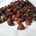 Whole Rose Hips (1-4 Pounds) - Great for Potpourri, Holiday Crafts ...