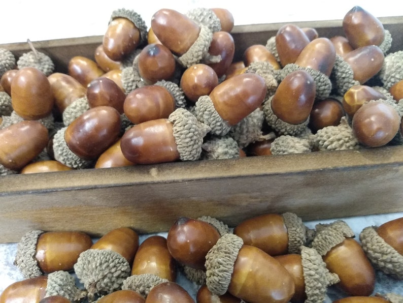 Fake Natural Very Realistic Looking Acorns With Real Caps - Etsy
