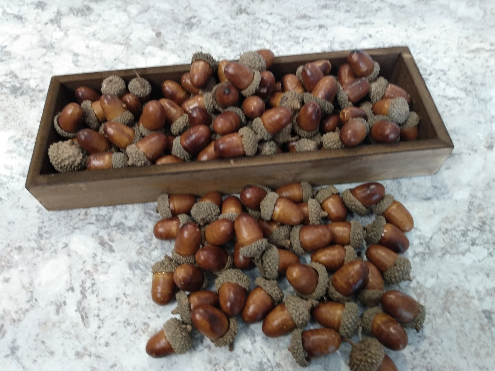Fake Natural Very Realistic Looking Acorns With Real Caps - Great for ...