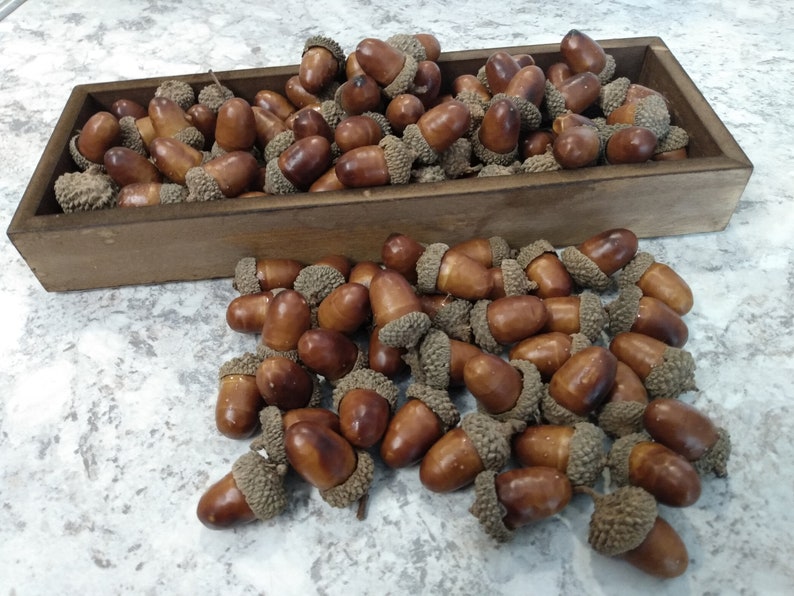 Fake Natural Very Realistic Looking Acorns With Real Caps | Etsy
