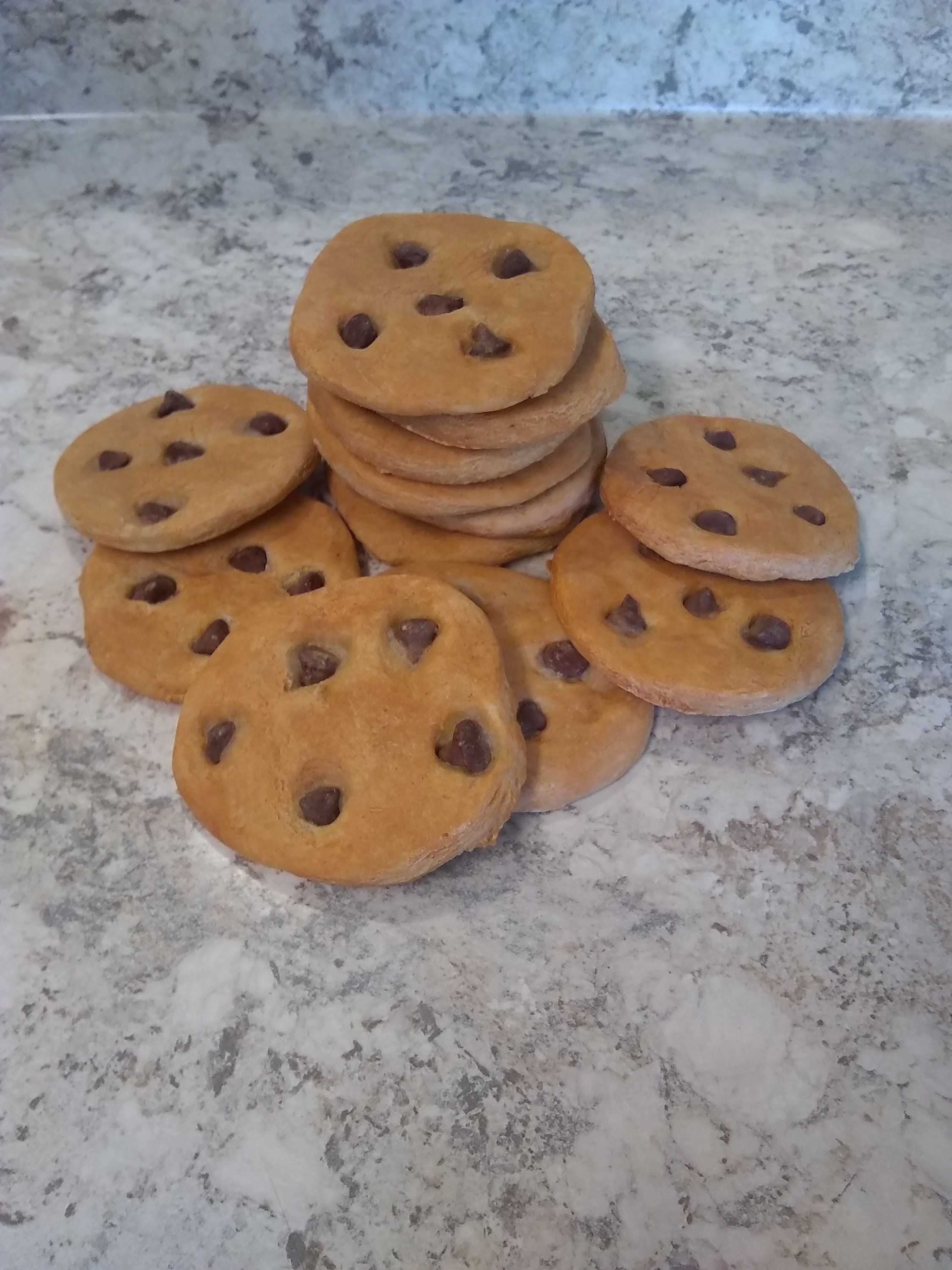 12 Fake Chocolate Chip Cookies (1 Dozen) - Fake Food Props/faux Food ...
