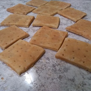 FAKE Hard Tack Crackers Colonial Fake Foods (12 Pieces) - Revolutionary ...