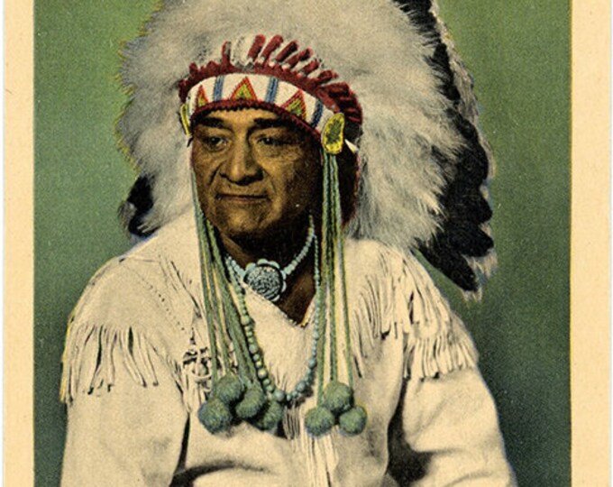 Chief Evergreen Tree Wisconsin Dells Native American Vintage Postcard ...