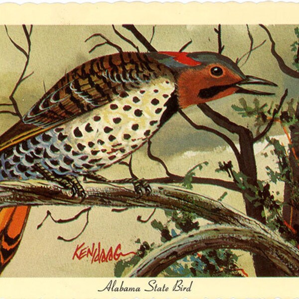 Alabama State Bird - Etsy