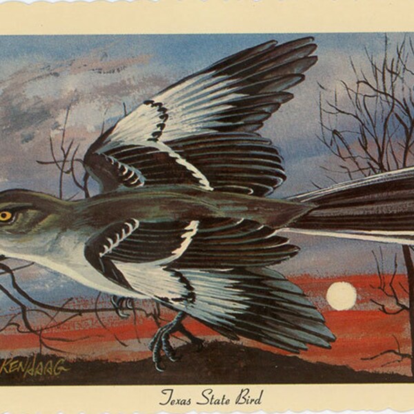 Ken Haag - Etsy