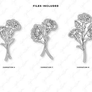 Carnation Flower Single Line SVG File, Botanical Floral Clip Art ...