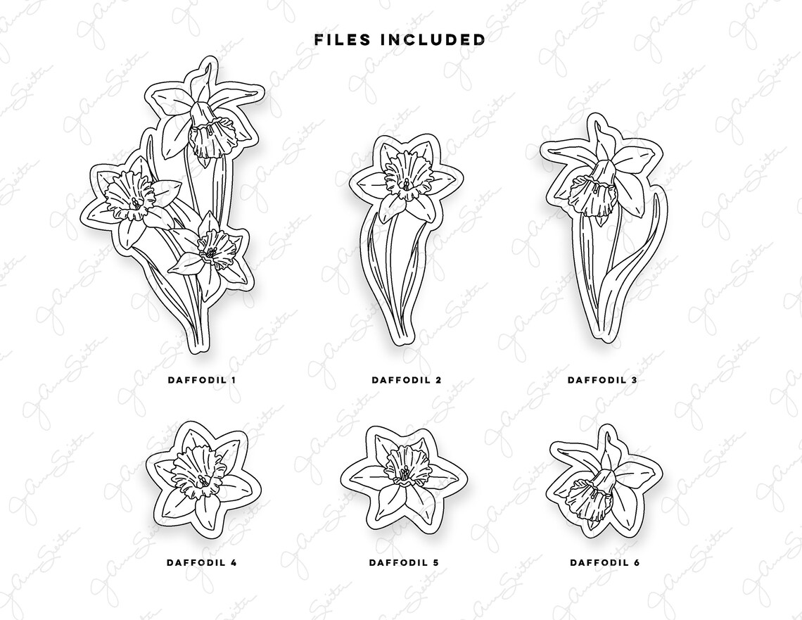 Daffodil Flower Single Line SVG File Botanical Floral Clip | Etsy