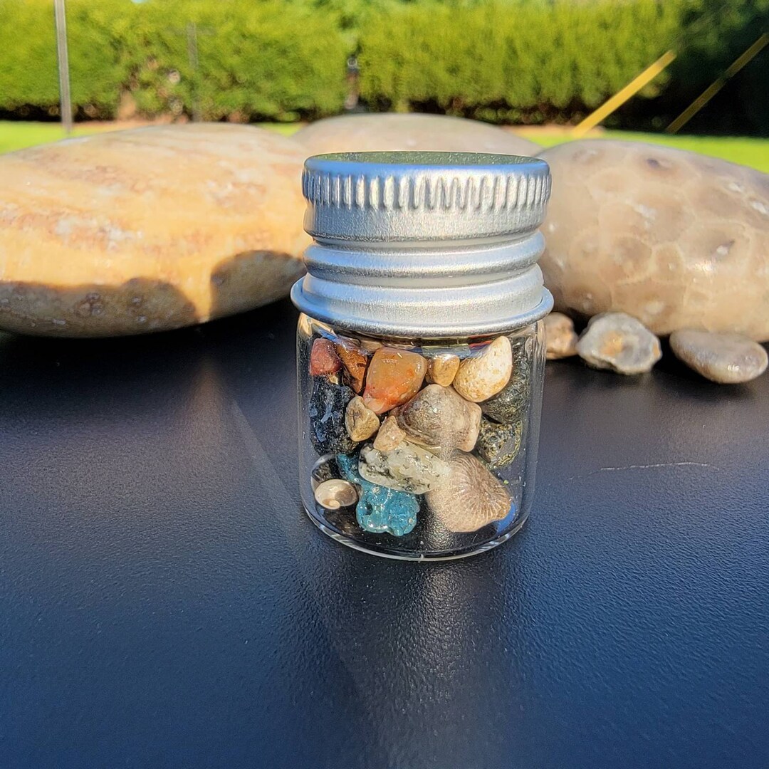 Magnified Great Lakes Sand - Stones, Shells and Fossils Found in Lake ...