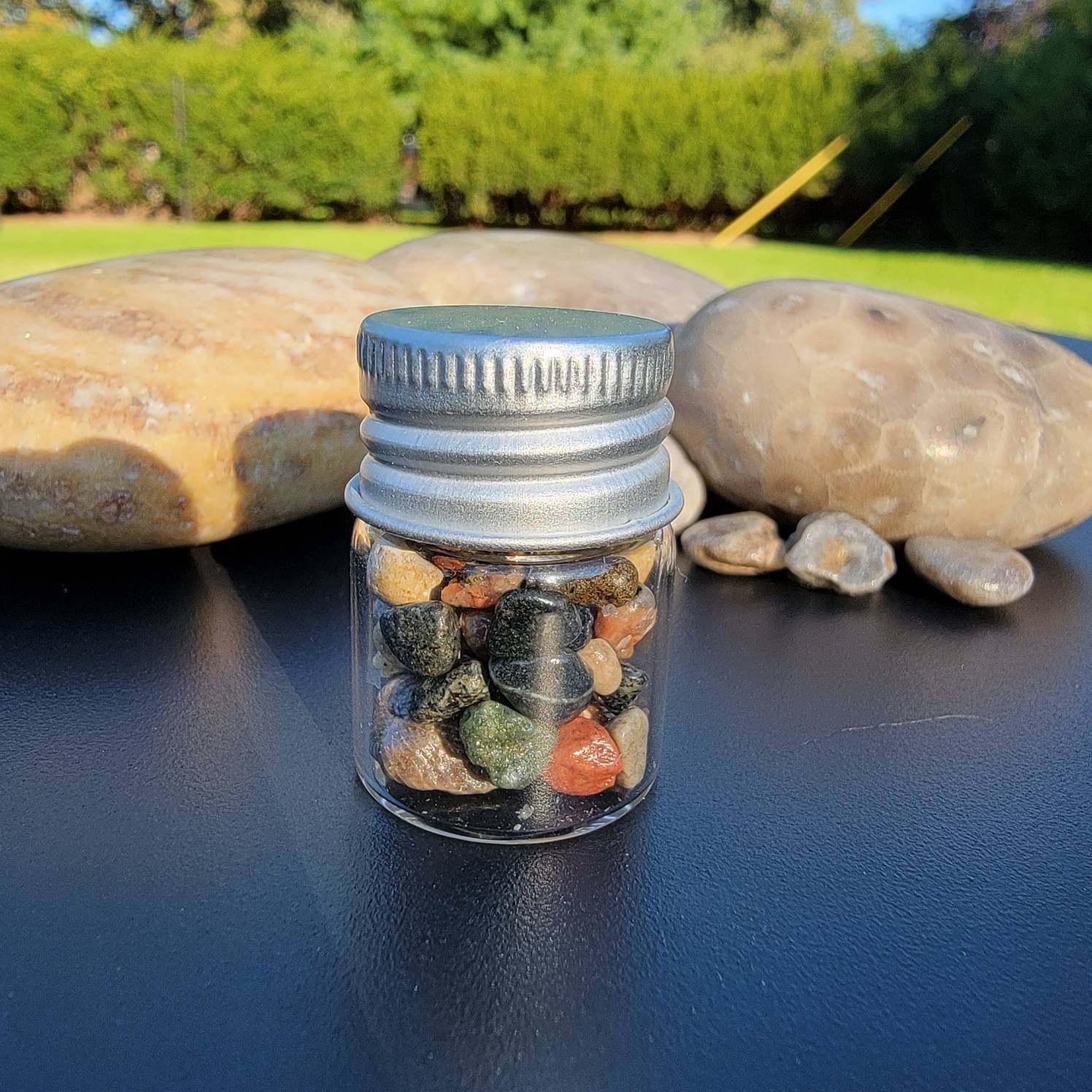 Magnified Great Lakes Sand Stones, Shells and Fossils Found in Lake ...