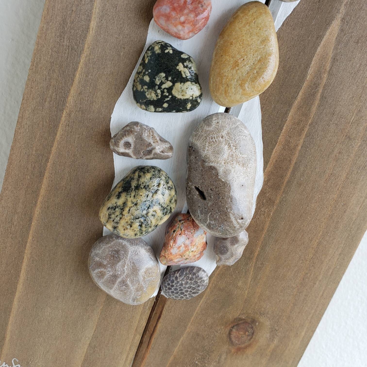 Three Piece Set - Michigan Great Lakes Petoskey Stone, Fossil and Rock ...