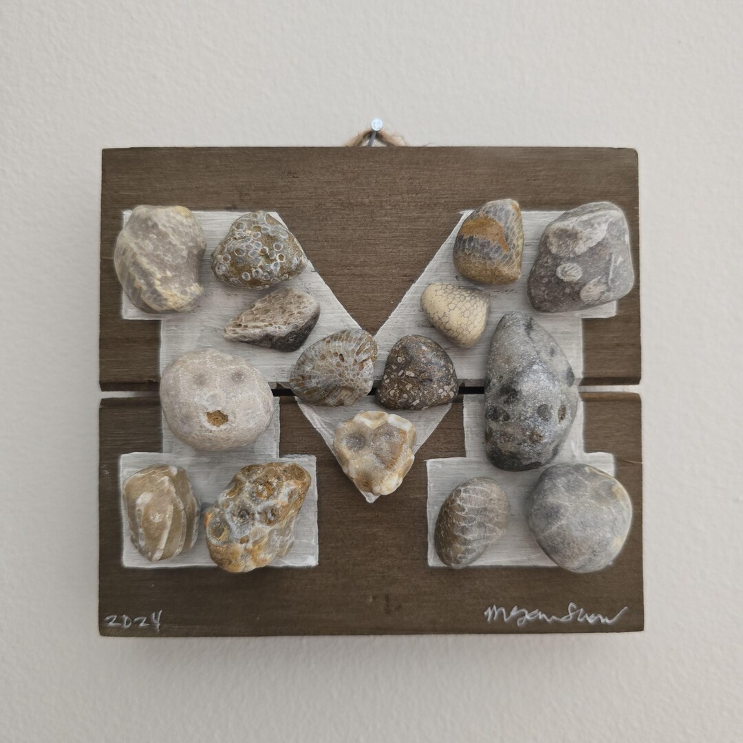 University of Michigan Block M Logo - Lake Michigan Fossil Wall Art ...