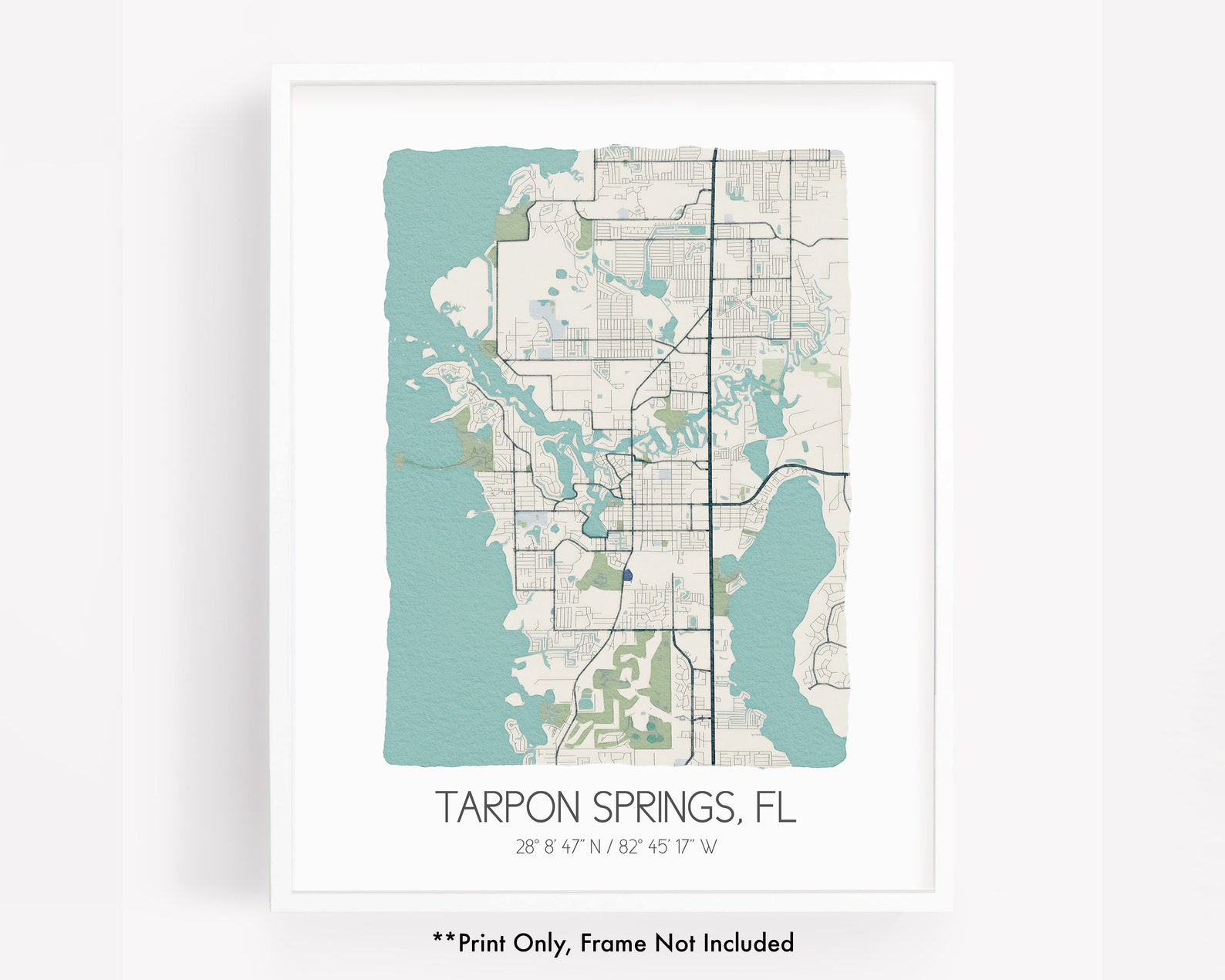 Tarpon Springs FL City Map Art Print, Hometown Map Poster, City Map ...