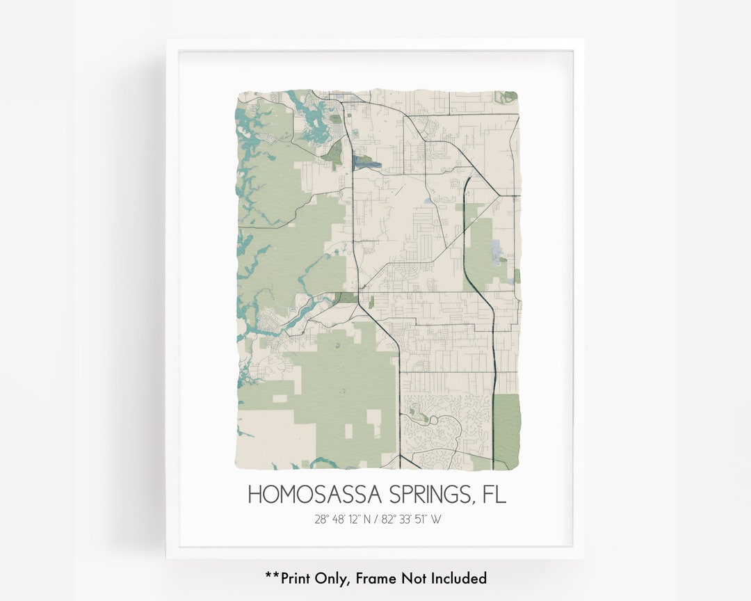 Homosassa Springs FL City Map Art Print, Hometown Map Poster, City Map ...