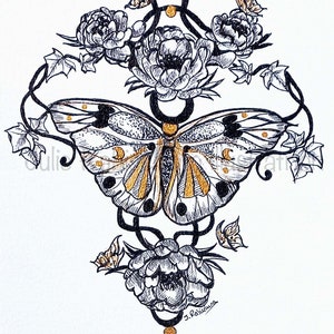 Moth and Flowers Ink Art, Moth Ink Drawing, Moth Art, Original Ink Art ...