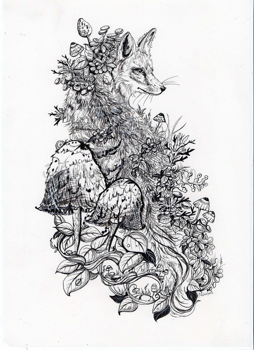Fox With Mushrooms and Flowers Art Print, Fox Ink Drawing Art Print ...