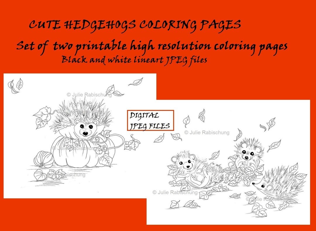 Cute Hedgehogs Coloring Pages Set, Cute Hedgehogs Digital Stamps,cute ...