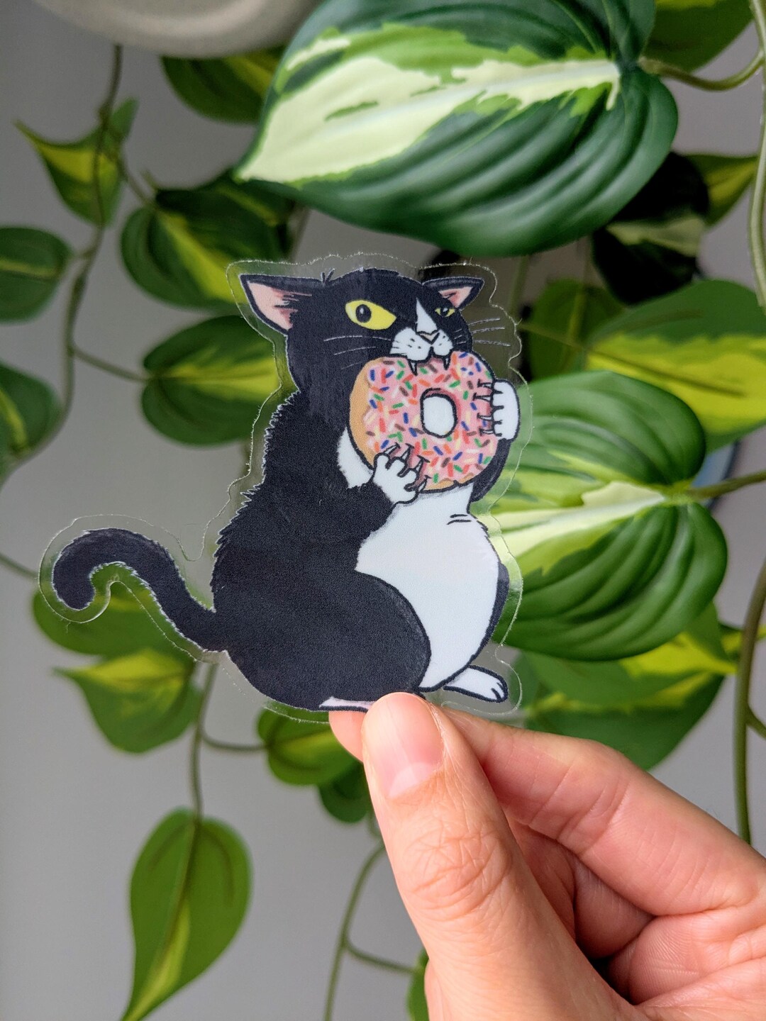 Funny Donut Cat Transparent Vinyl Sticker| Ravenous Tuxedo Cat Clear ...