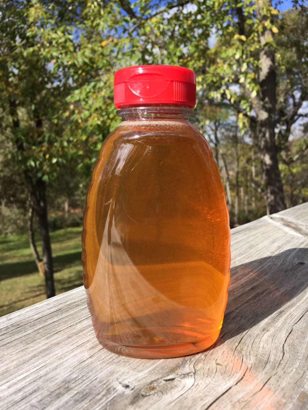 Fall Honey 1/2 Pound (8 Ounces) 100% Raw, Natural - Etsy
