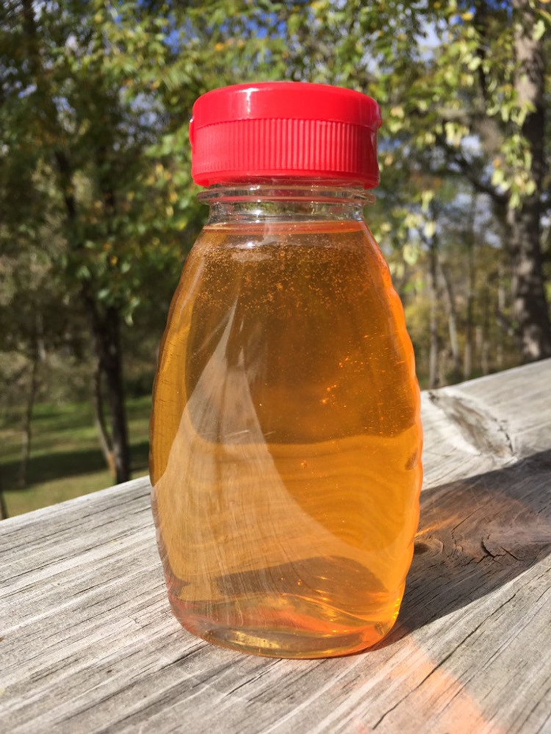 Fall Honey 1 Pound (16 Ounces) 100% Raw, Natural - Etsy