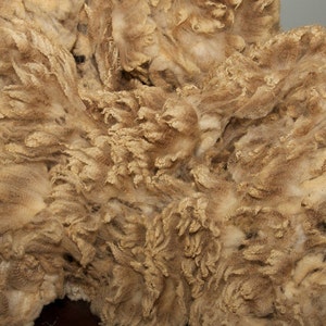 Raw Fleece Sample: 1/2 Ounce - Etsy