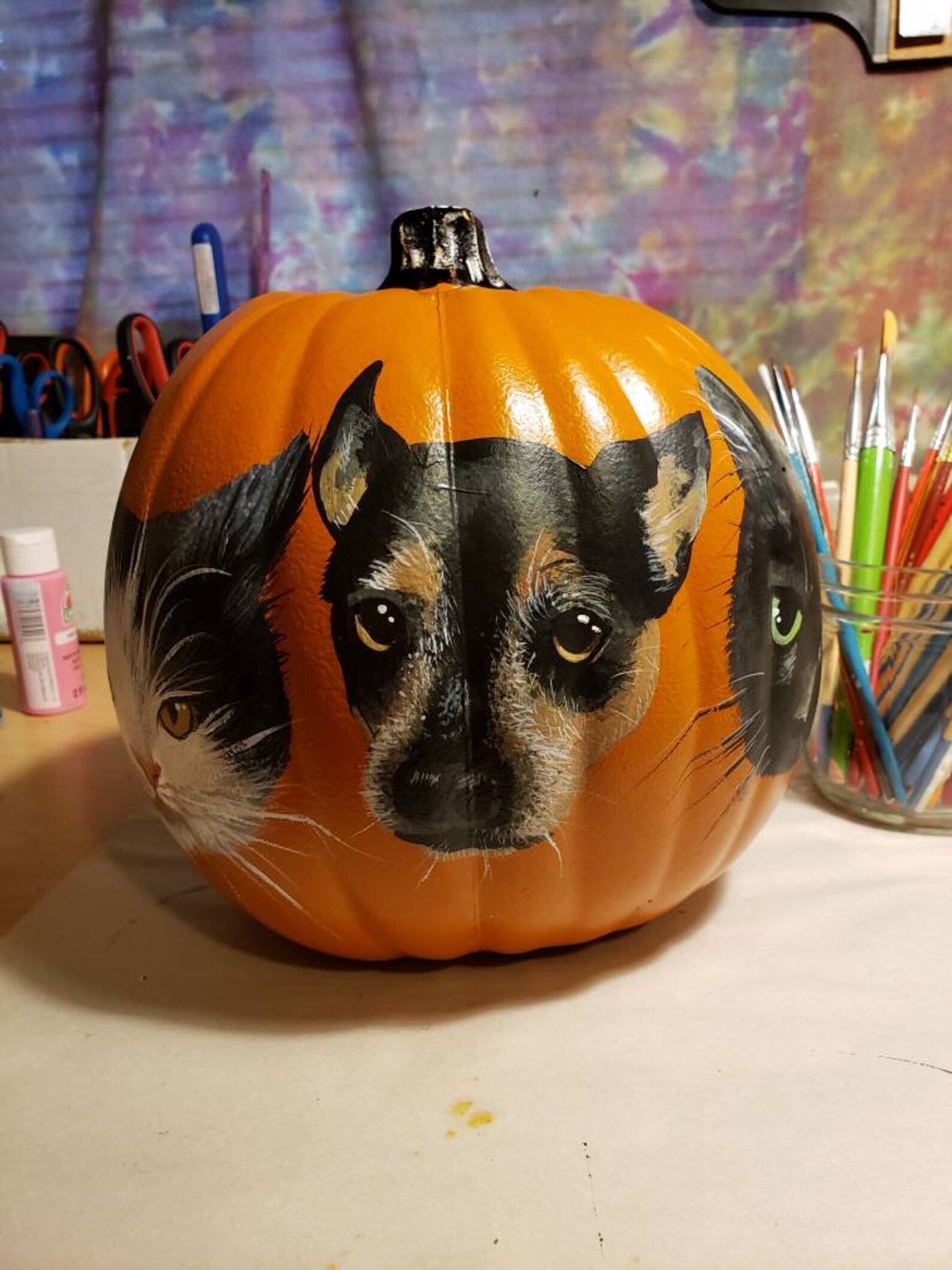 Custom Pet Pumpkin - Etsy