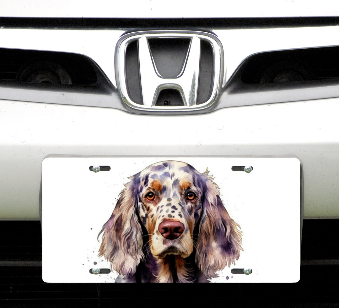 License Tag And/or Trailer Hitch Cover, English Setter - Etsy