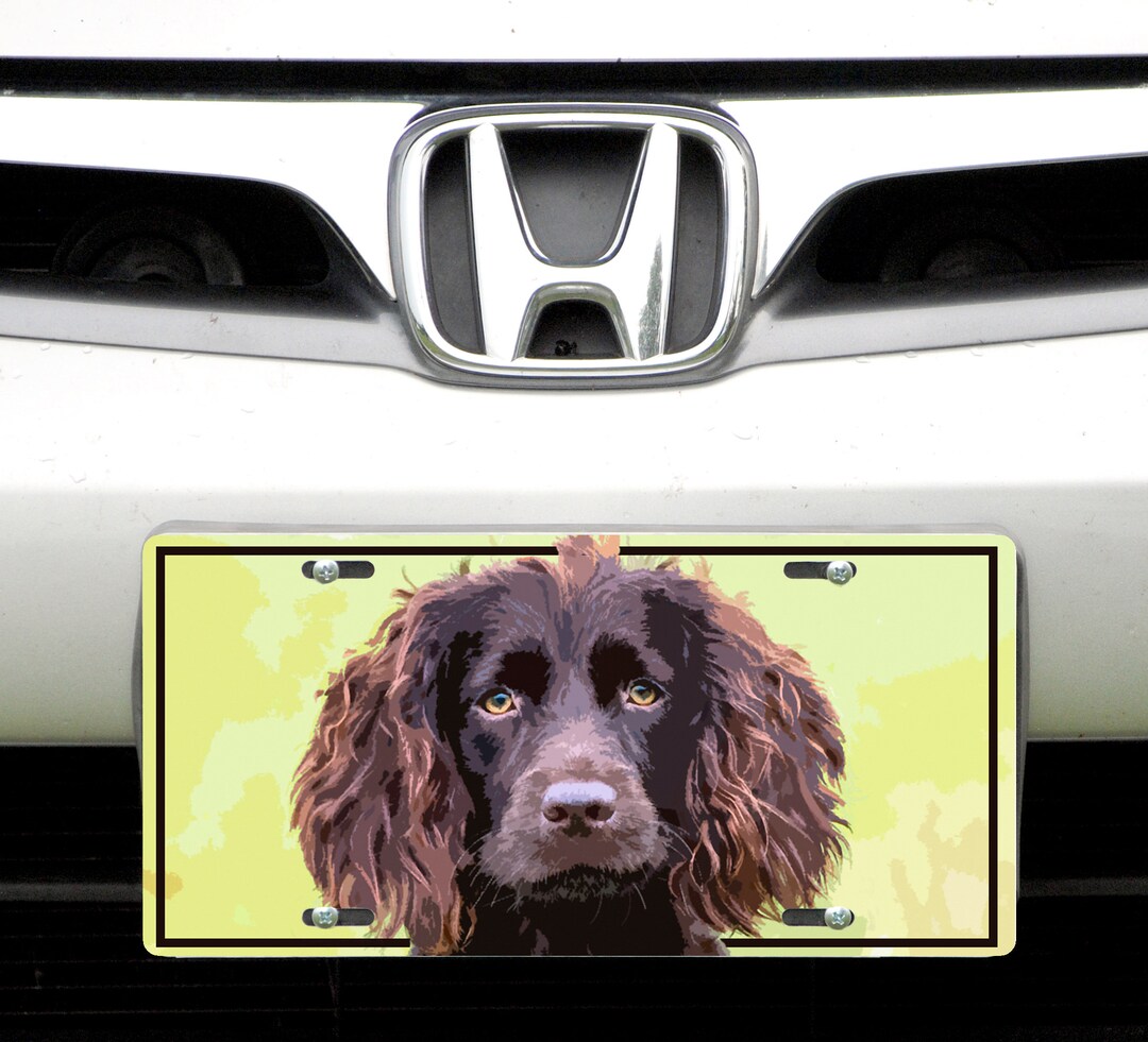 License Tag And/or Trailer Hitch Cover, Boykin Spaniel - Etsy