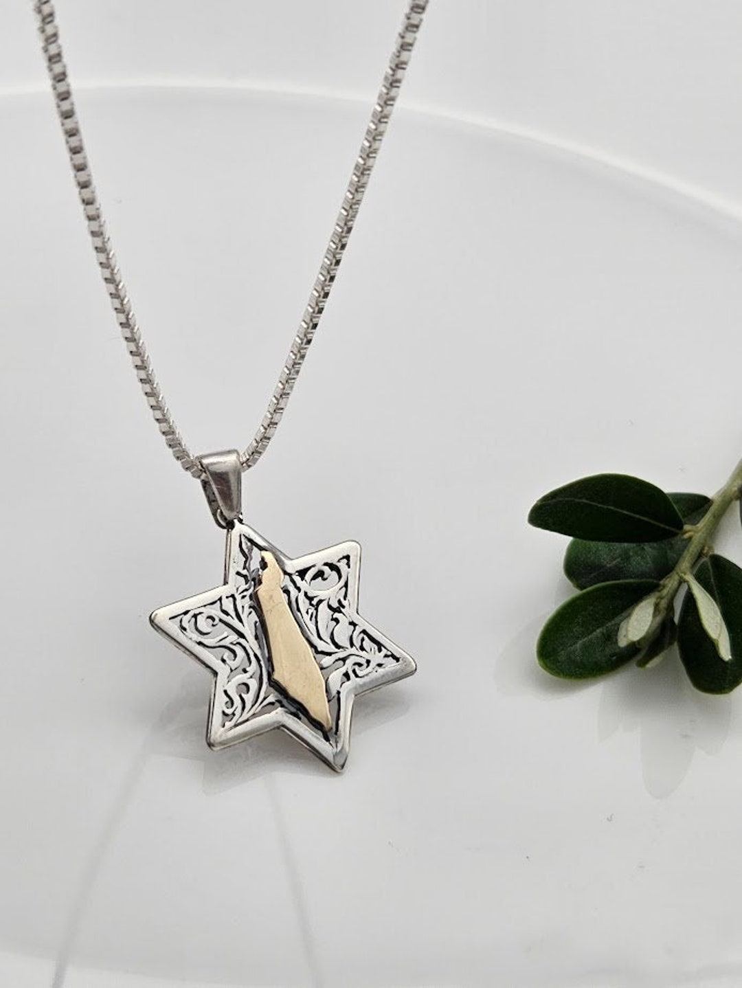 Star of David Necklace, Map of Israel Necklace, 14K Gold and Silver ...