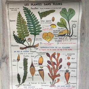 Scientific Poster Print - Etsy