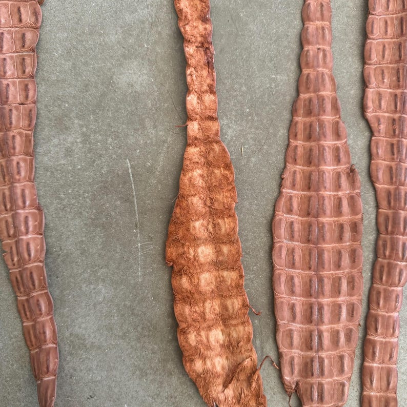 Leather Mini Alligator Hides - Etsy